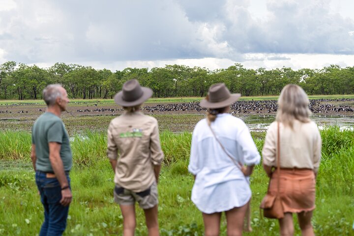 Jumping Crocodile Tour from Darwin | Unique Wildlife Show » Dreamtime ...